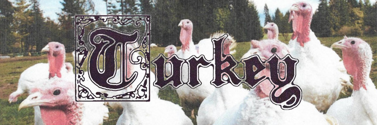 Turkey | Official Merch – Lagoon Room Merch